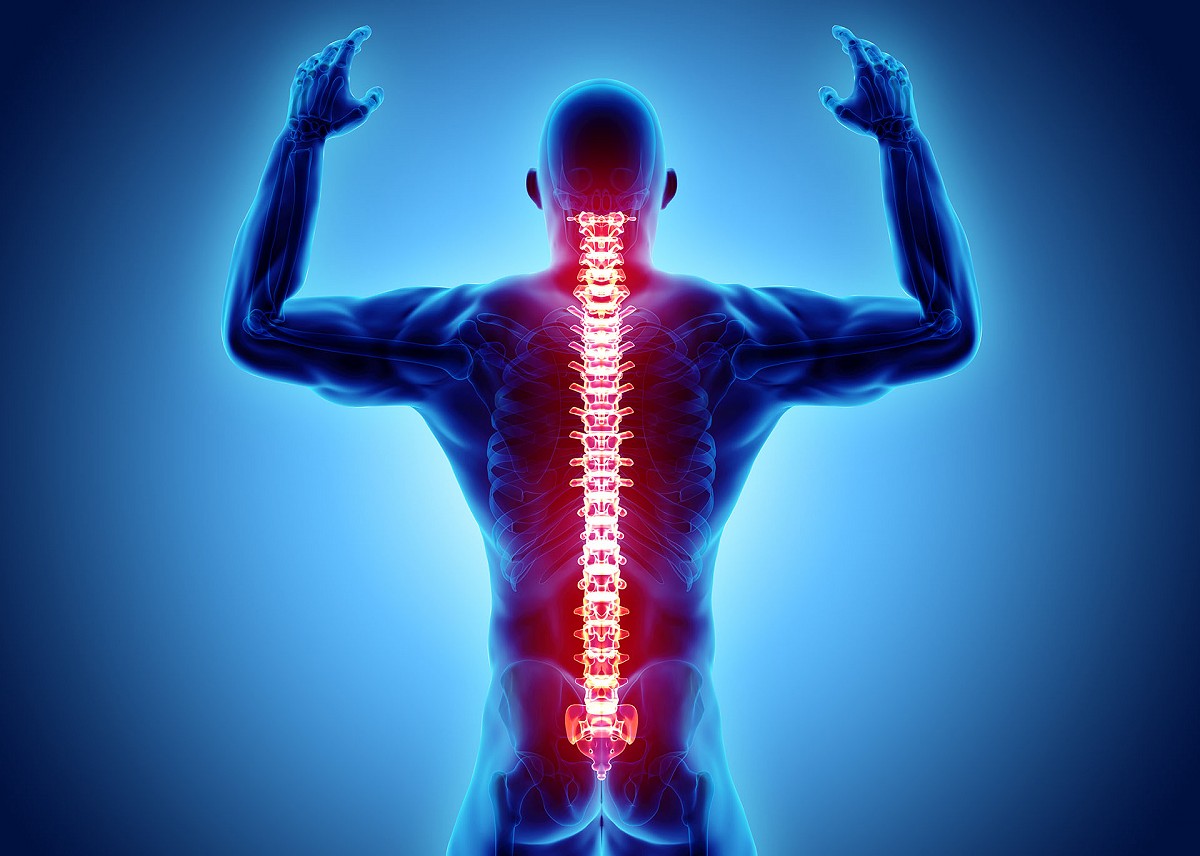 Back Pain | Causes, Symptoms and Treatments for Back Pain